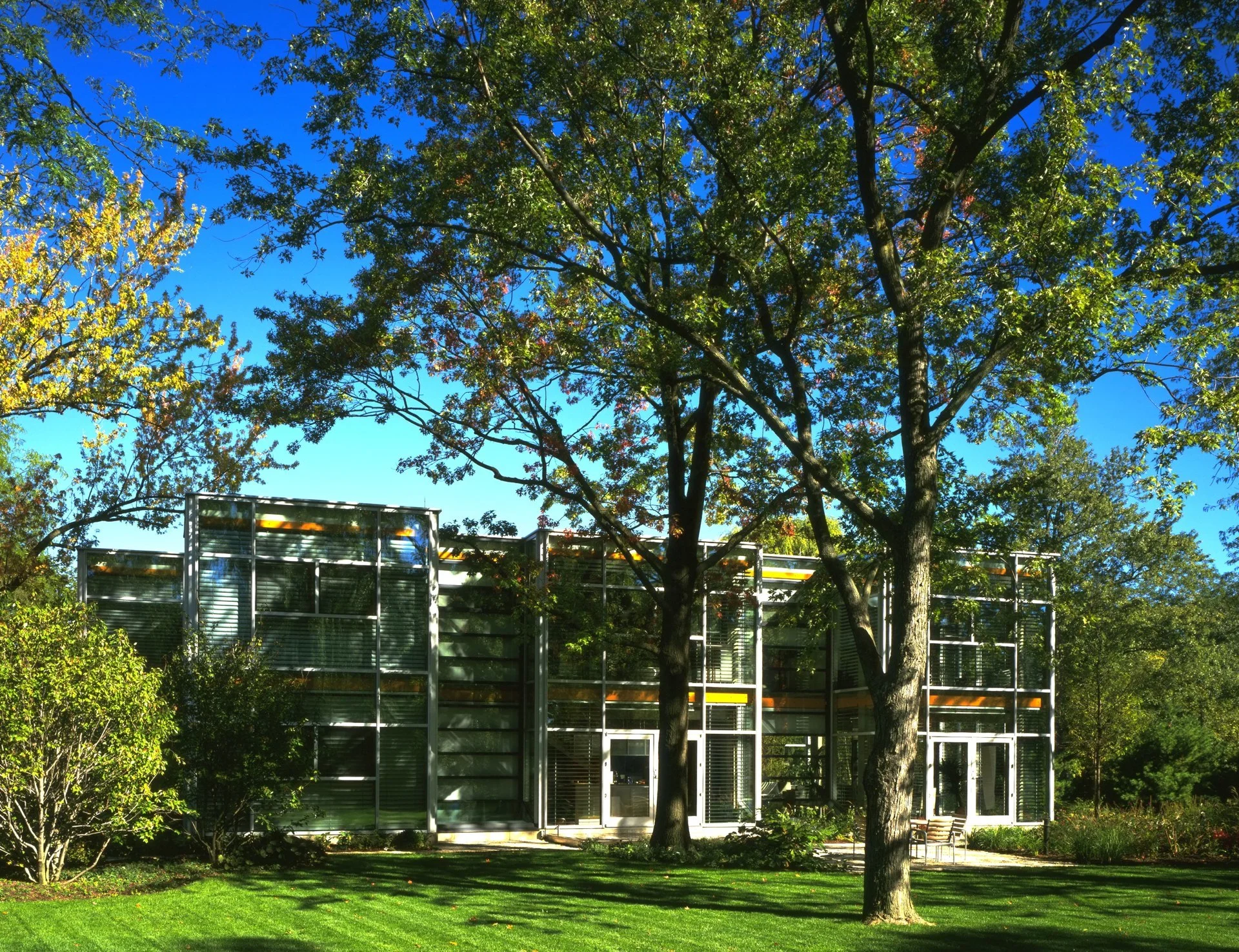 Glass House — SteelGrass