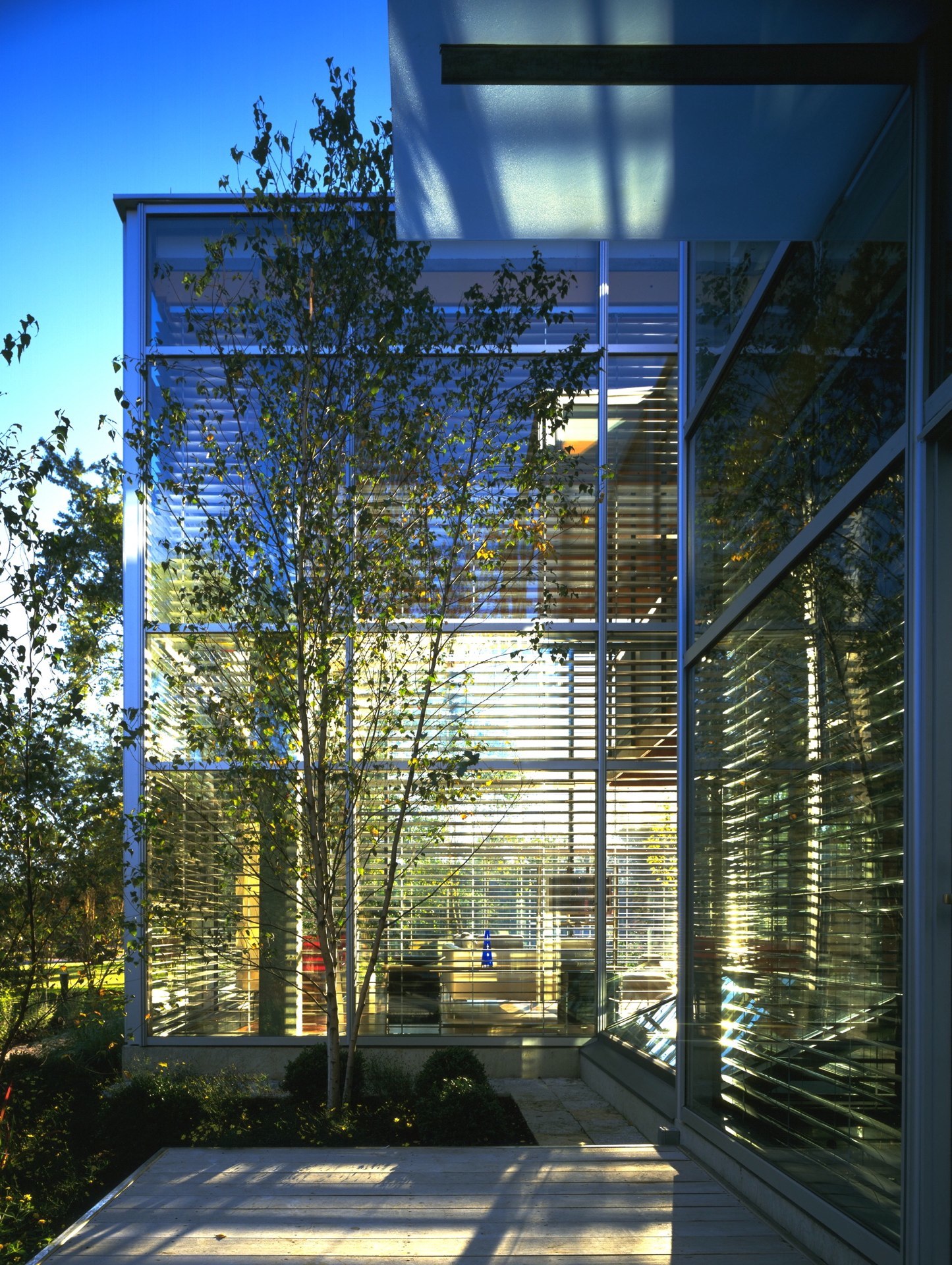 Glass House — SteelGrass