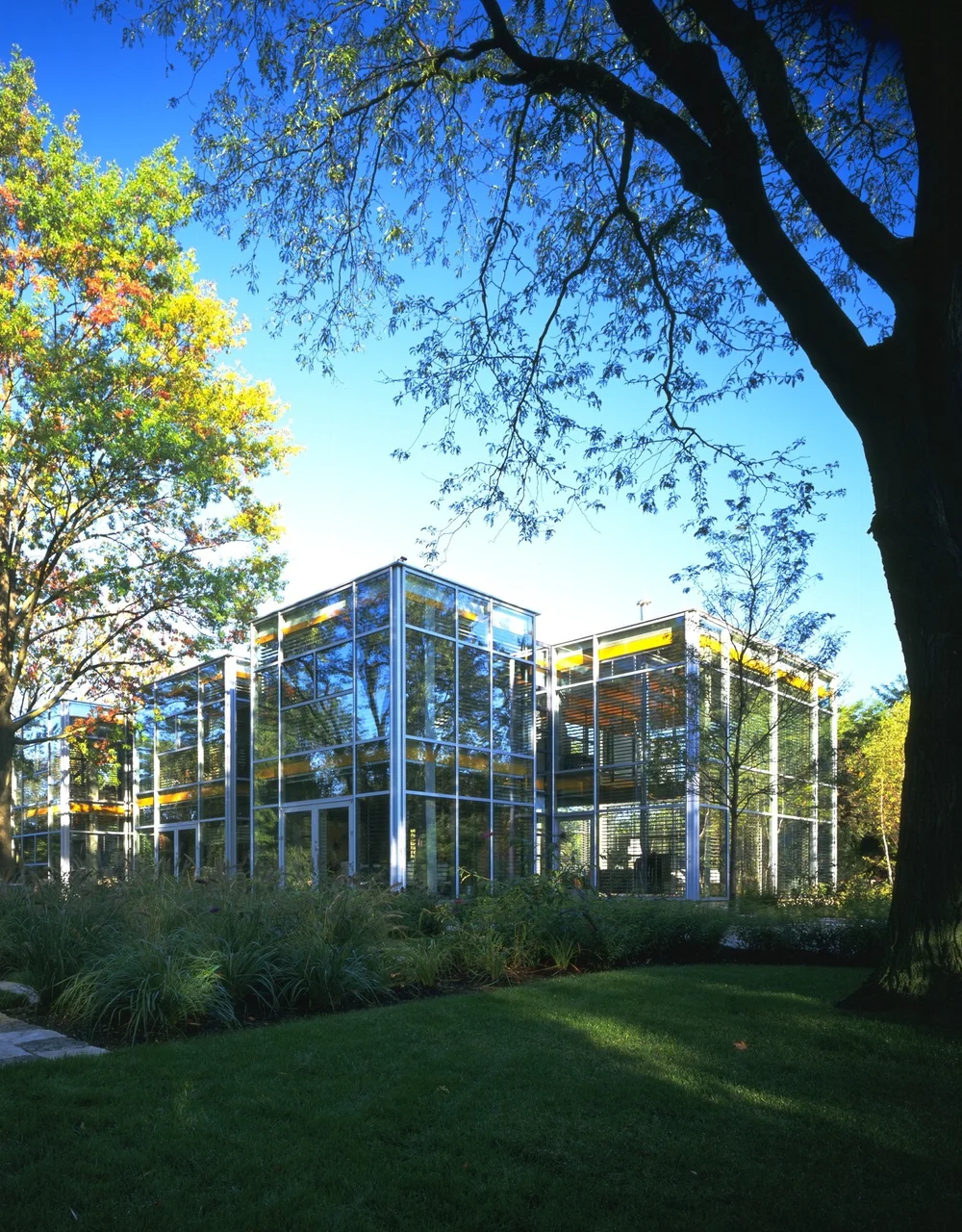 Glass House — SteelGrass