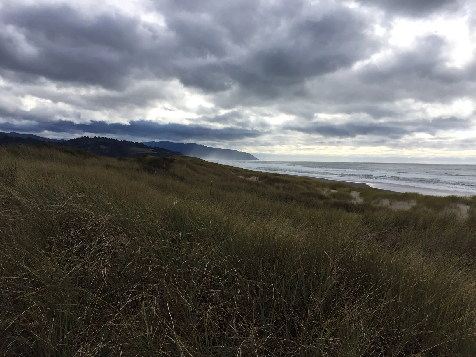 A Heart Full of Great Compassion: Sun Simiao on the Physician's Role in ...