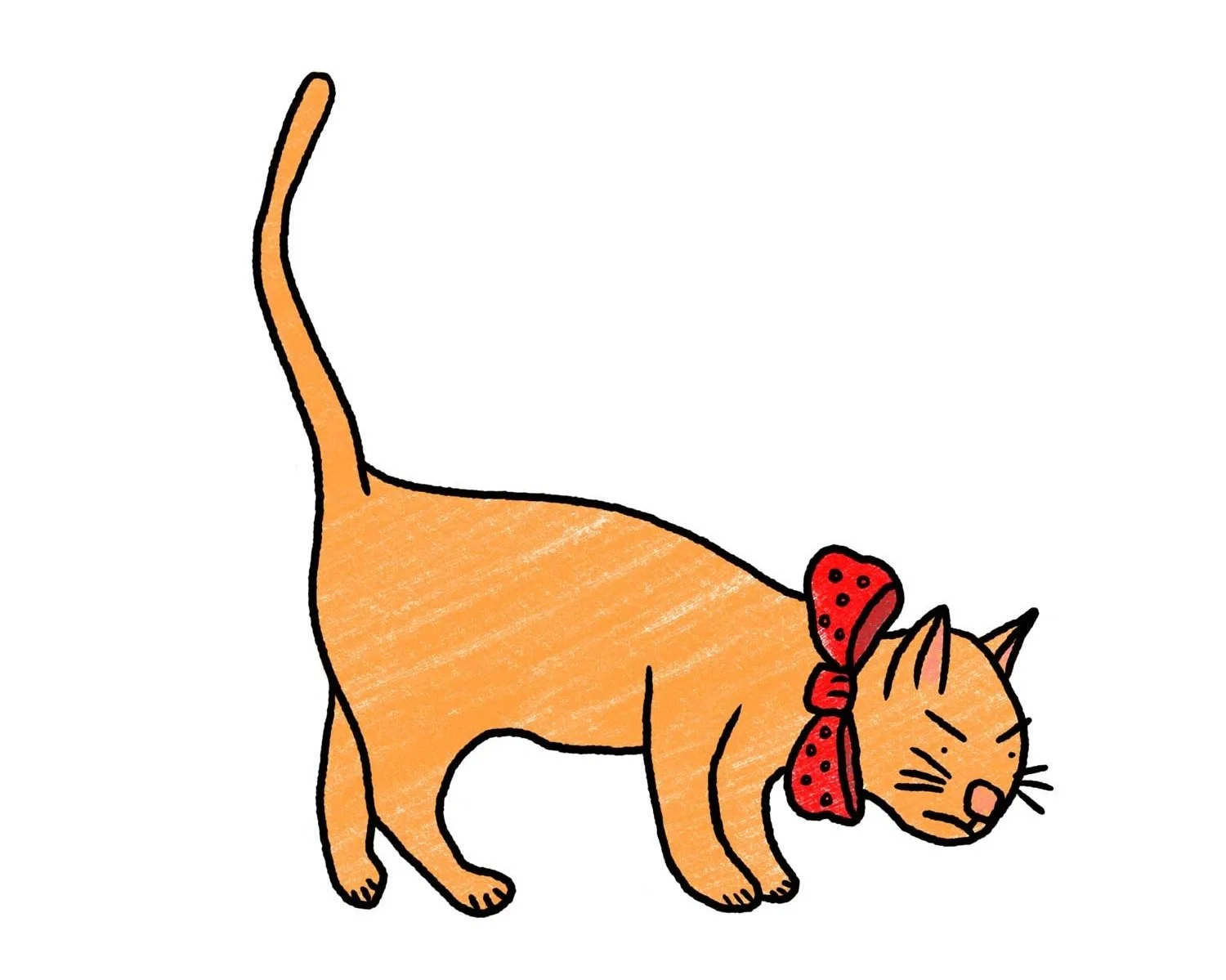 Barnstable the Cat Coloring Sheet — Kate Teves
