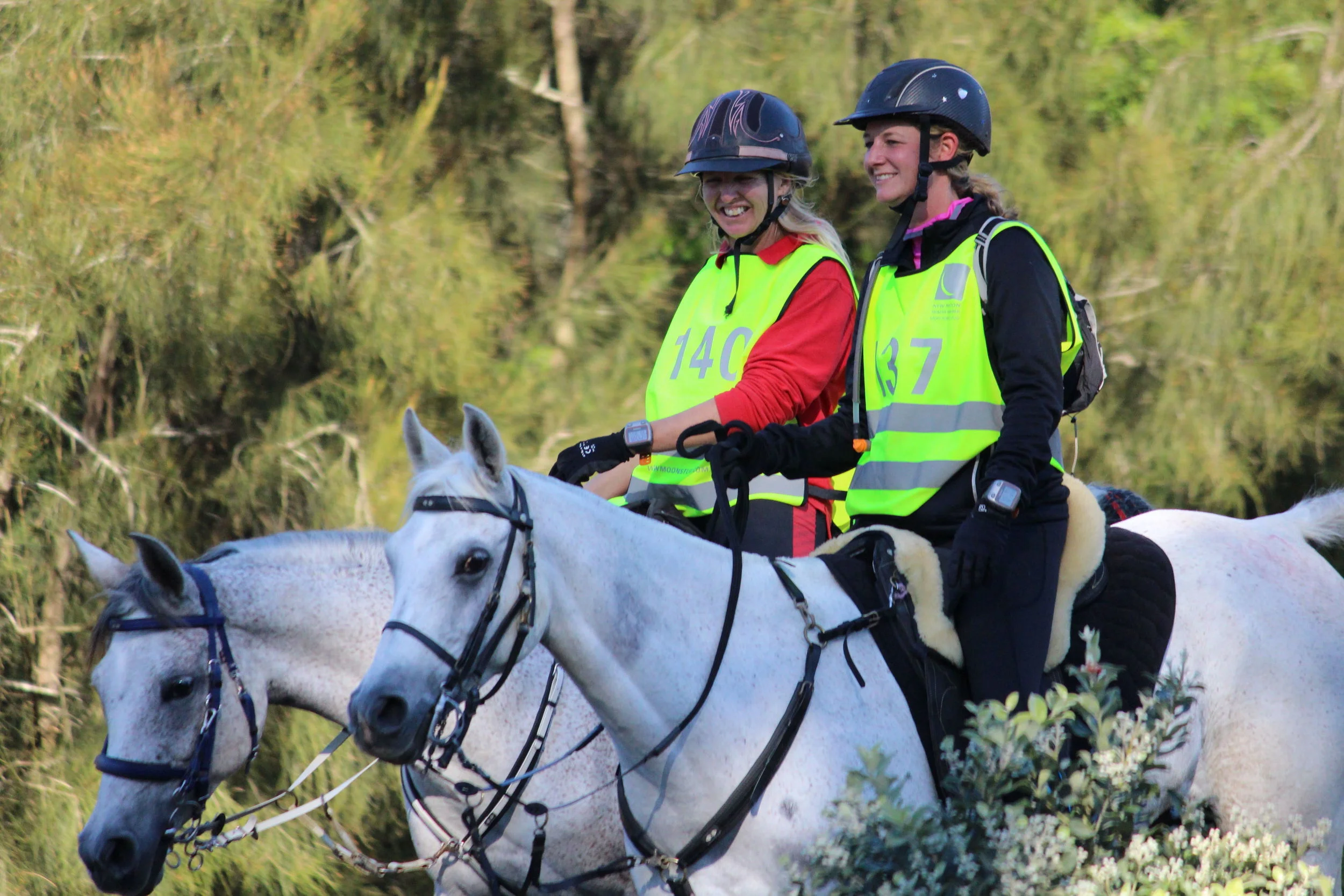 Update from Sabrina Stephens from the Del Dio — Pryde's EasiFeed | Best ...