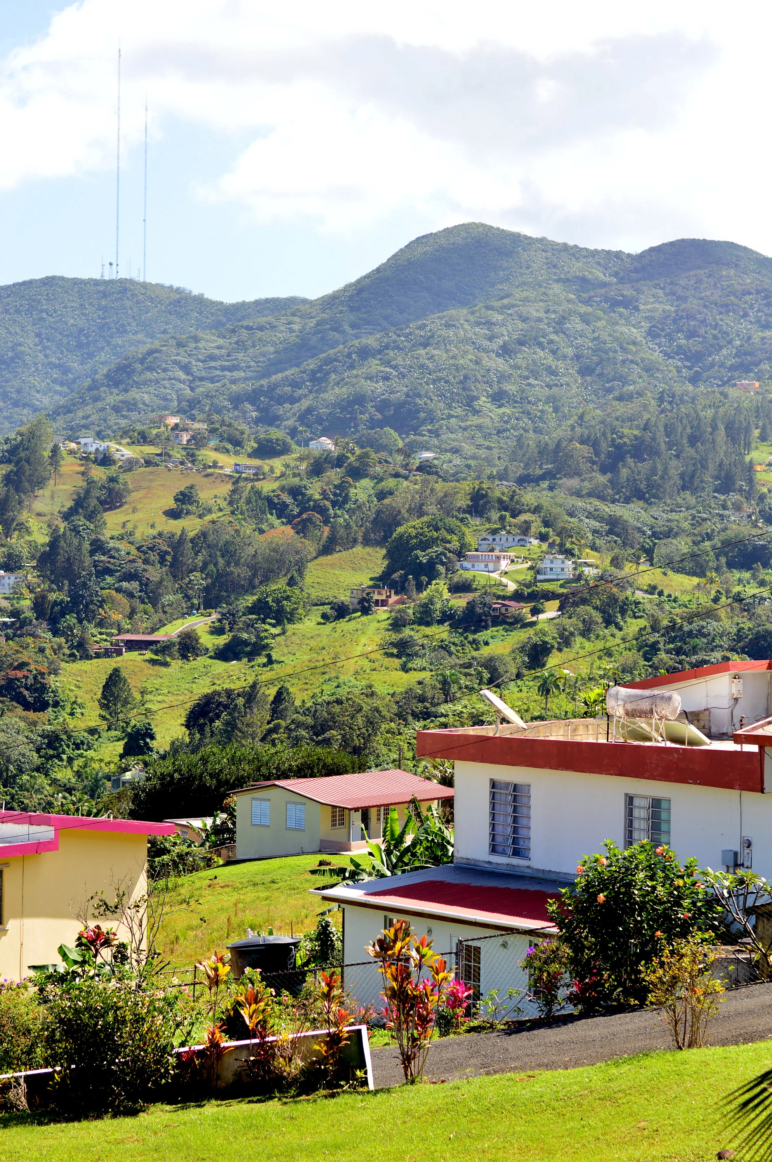 Embroidered Top: Guavate, Puerto Rico — Miss Minus Sized