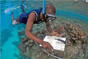 Tetepare Island, in the Western Province of the Solomon Islands, the ...