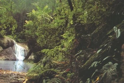 WW2, Honiara & Guadalcanal Tours - Discover the Solomon Islands — Go ...