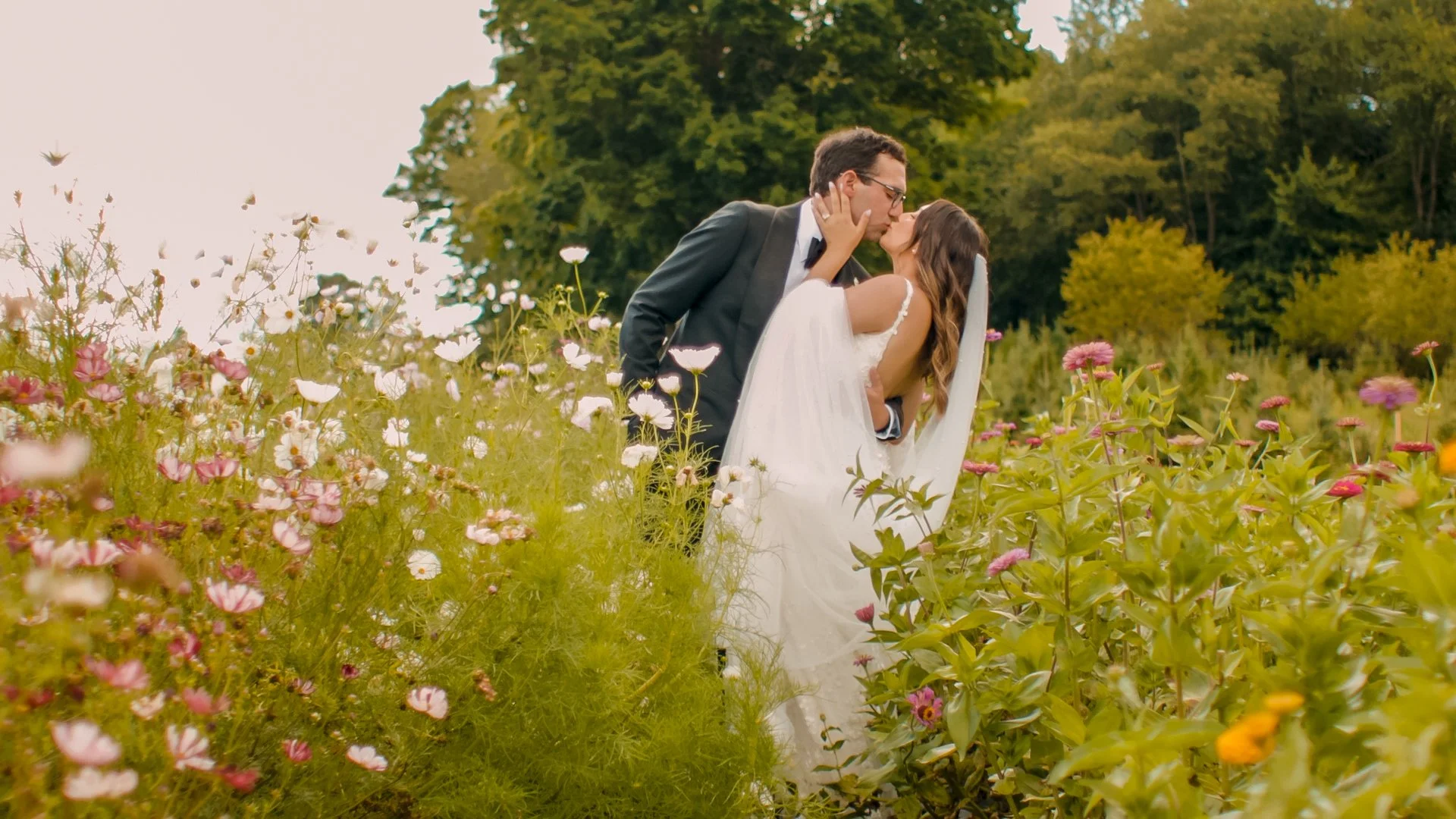 Films — David John Studios - Youngstown Wedding Videography