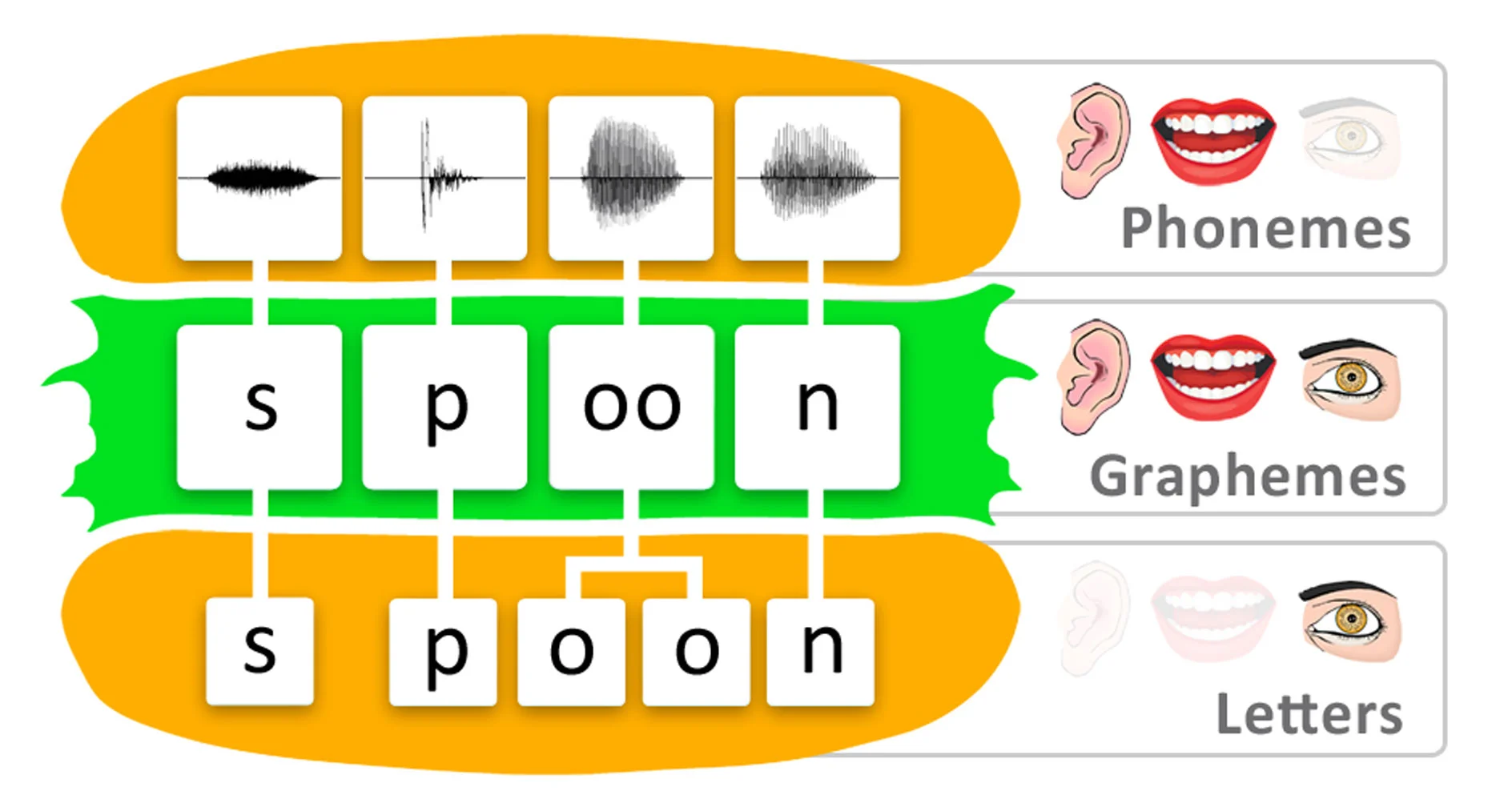 Why children learning to read need to be taught graphemes — Reading ...