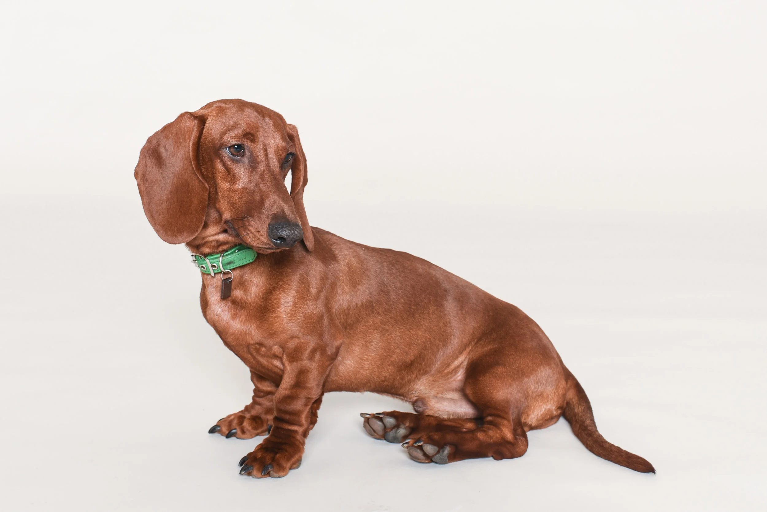 Alexandria Hall Photography