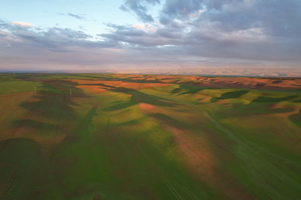 What Is the Palouse? — The Billings Family