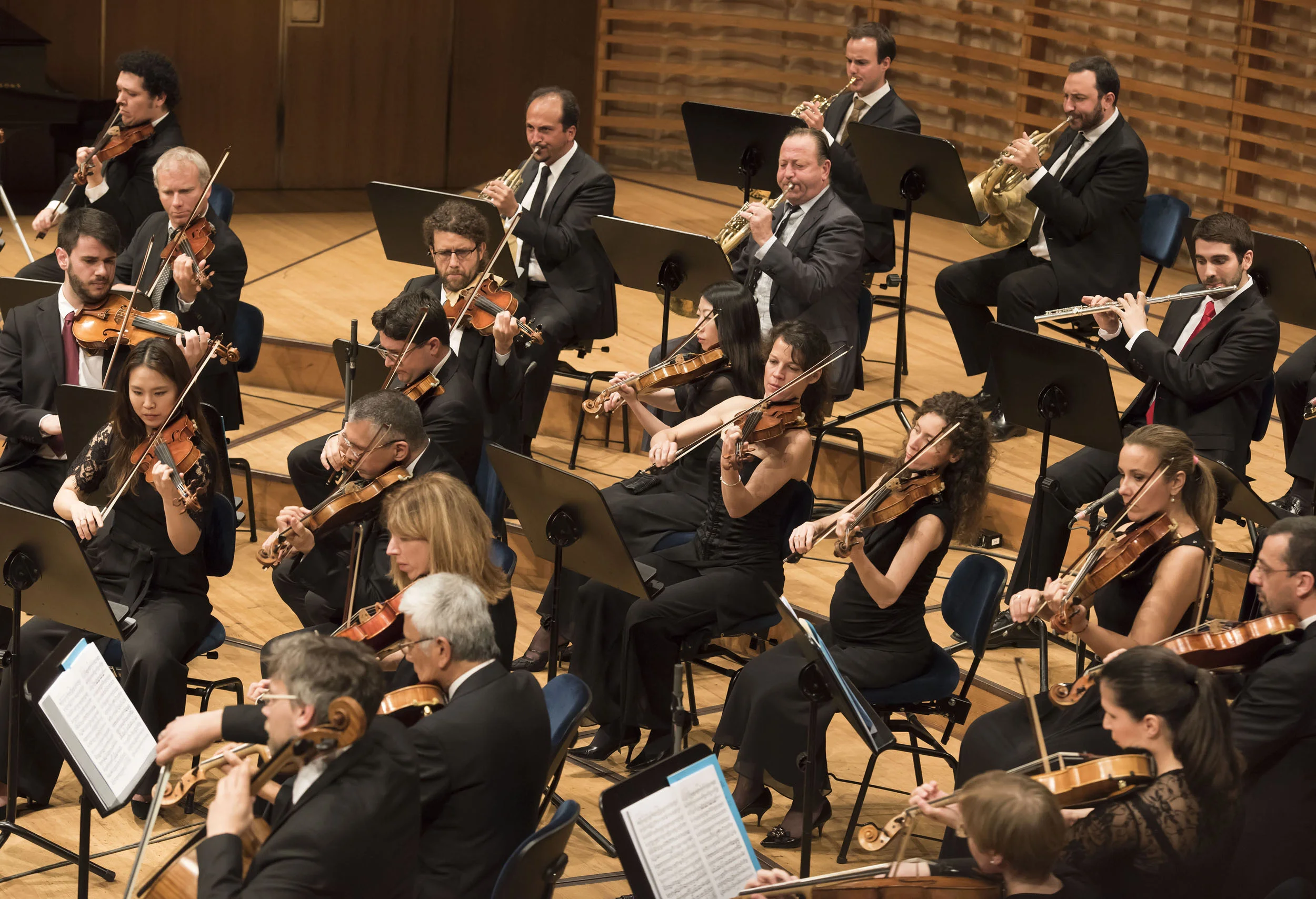Human Rights Orchestra — MUSICIANS FOR HUMAN RIGHTS