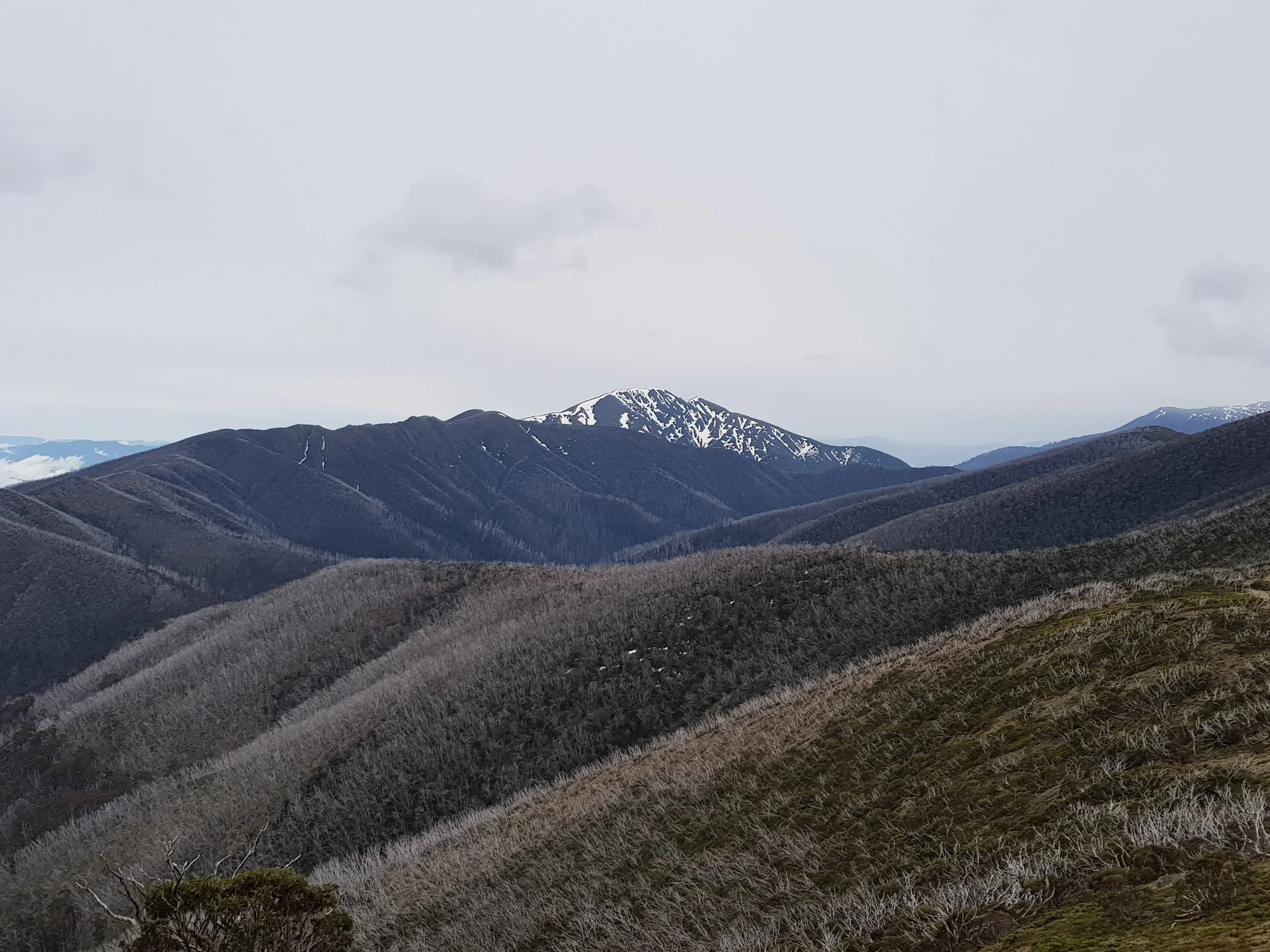 Hiking on the Trail – Mt Loch and Mt Hotham Summit — onthetrail.com.au