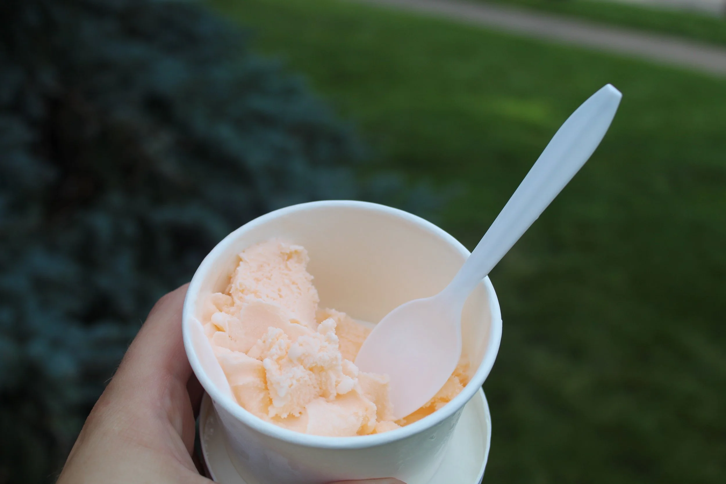 Howell Melon Festival