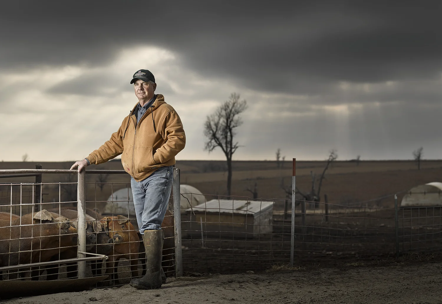 Kansas Pig Farmers — Scott Stebner