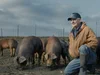 Kansas Pig Farmers — Scott Stebner