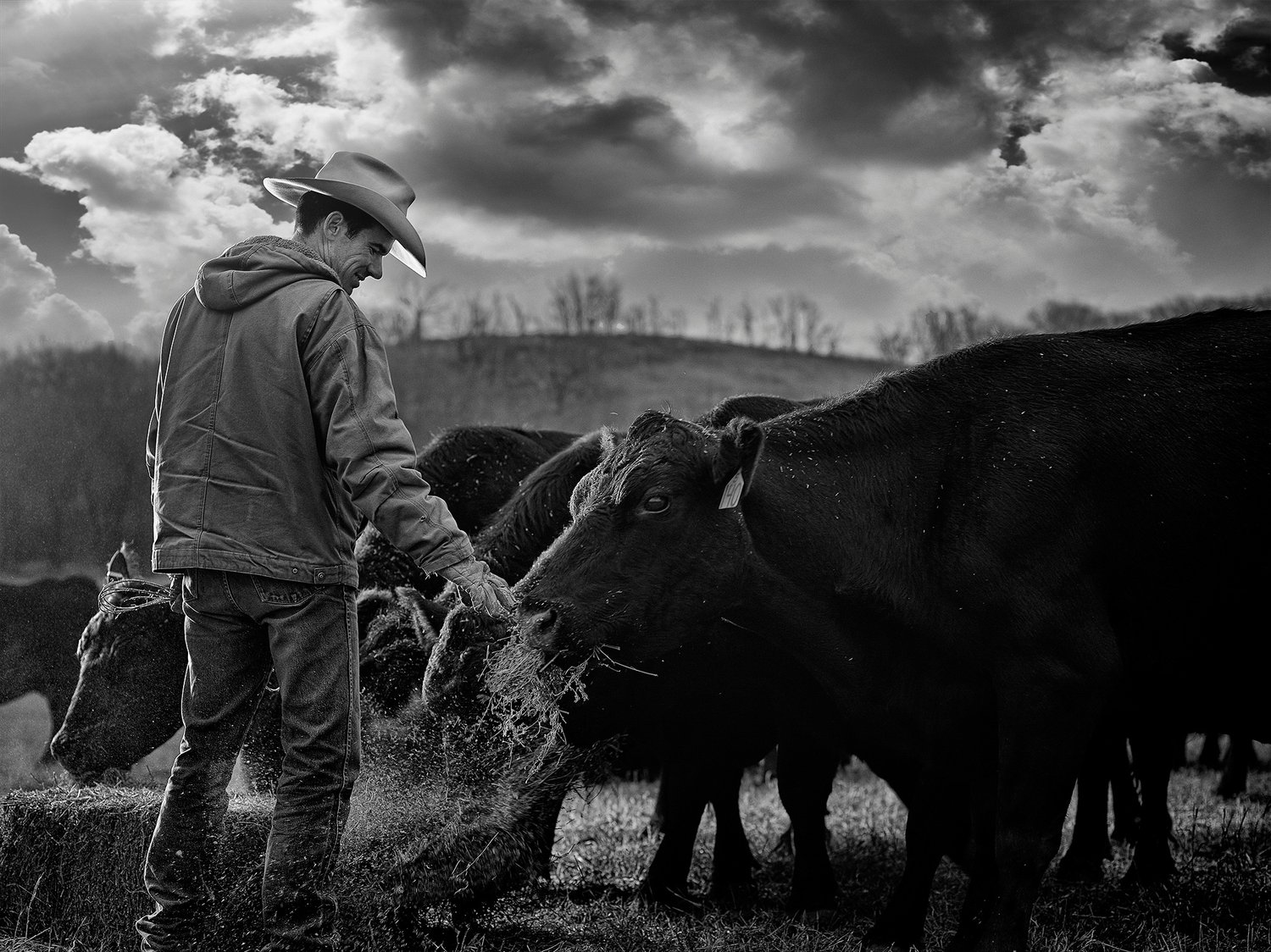 The Story of a Kansas Cattle Rancher — Scott Stebner