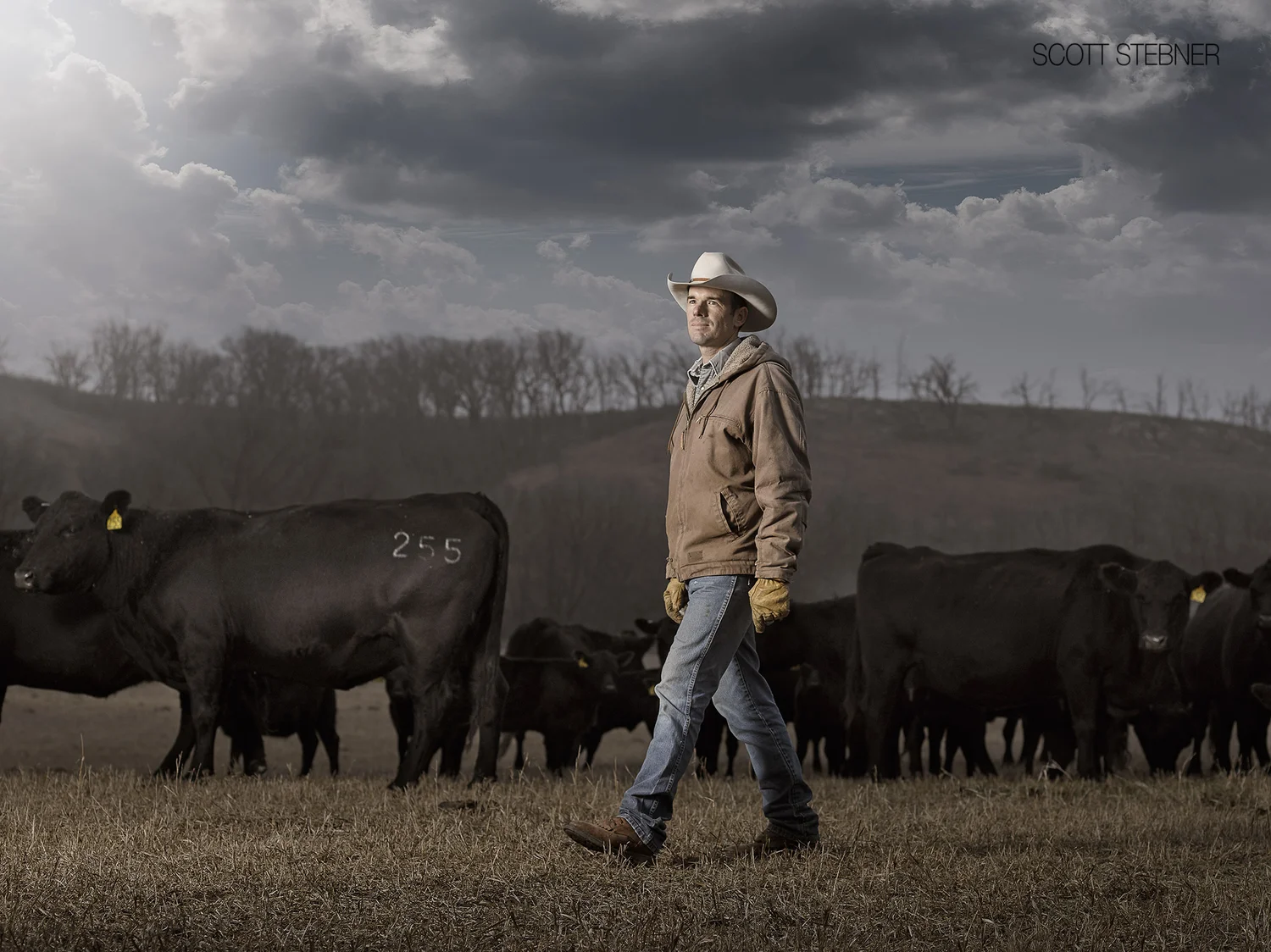 The Story of a Kansas Cattle Rancher — Scott Stebner