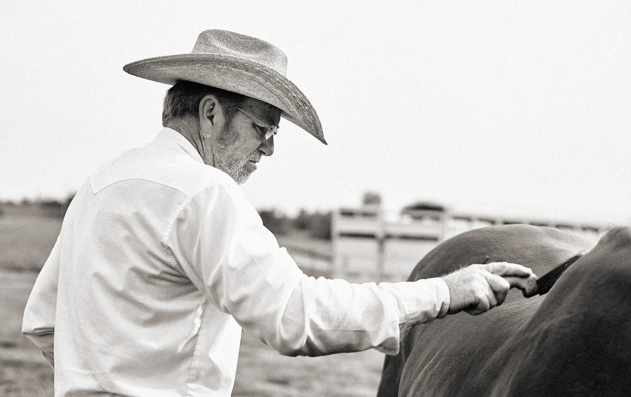 Blog — Scott Stebner