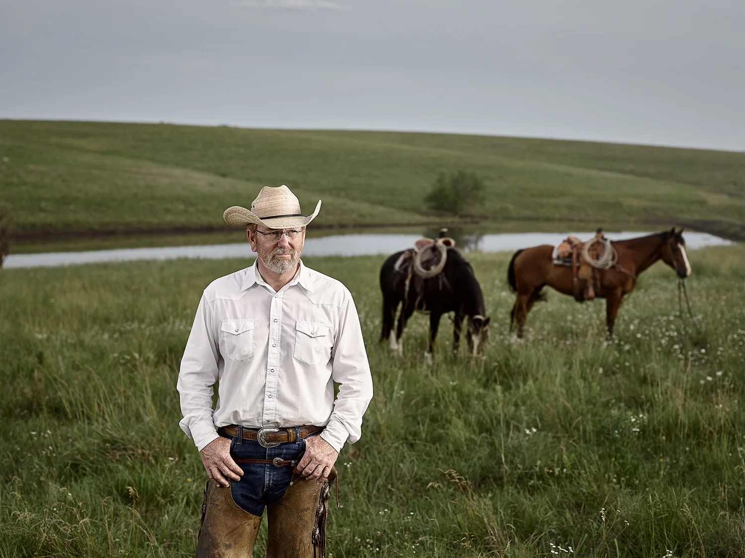 Blog — Scott Stebner