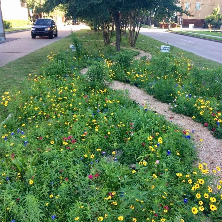 Build a Pocket Prairie — KPC