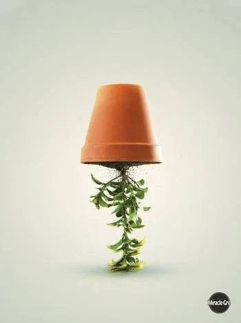 Austin Creative Department