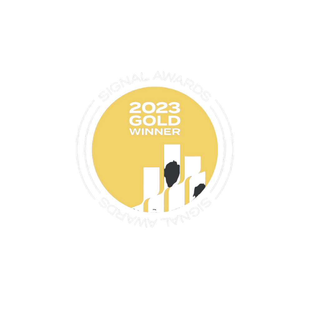 You Didn't See Nothin — Invisible Institute