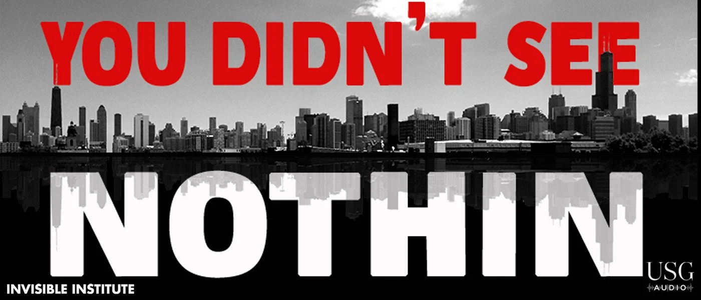 You Didn't See Nothin — Invisible Institute