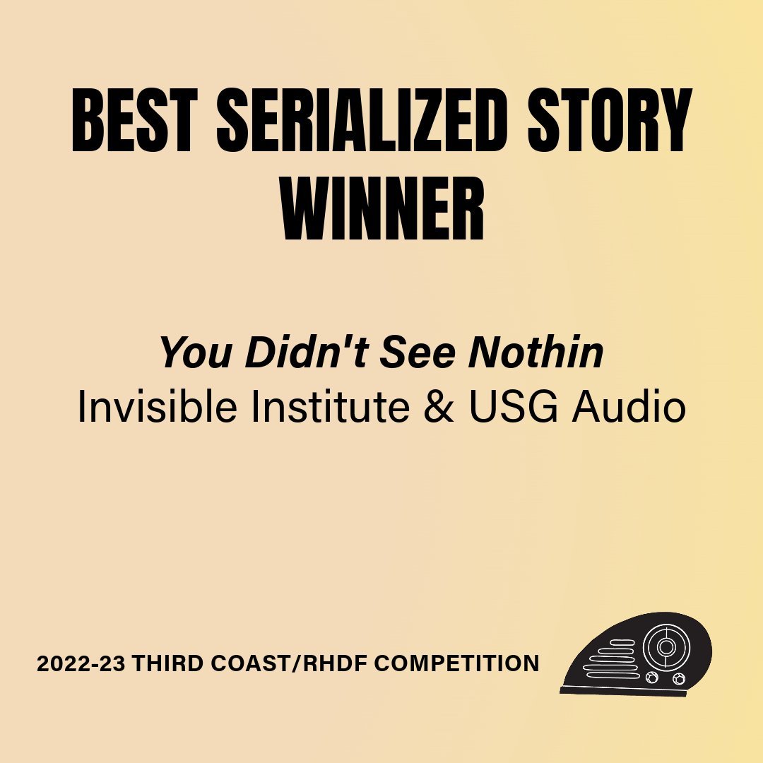 You Didn't See Nothin — Invisible Institute