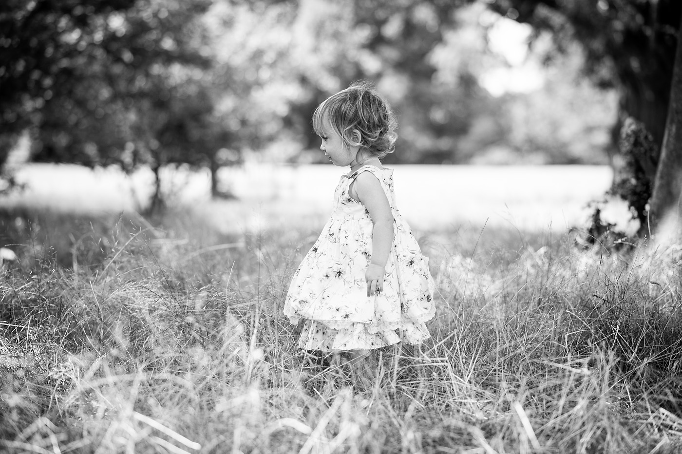 Family Outings — Edward Tyler Family