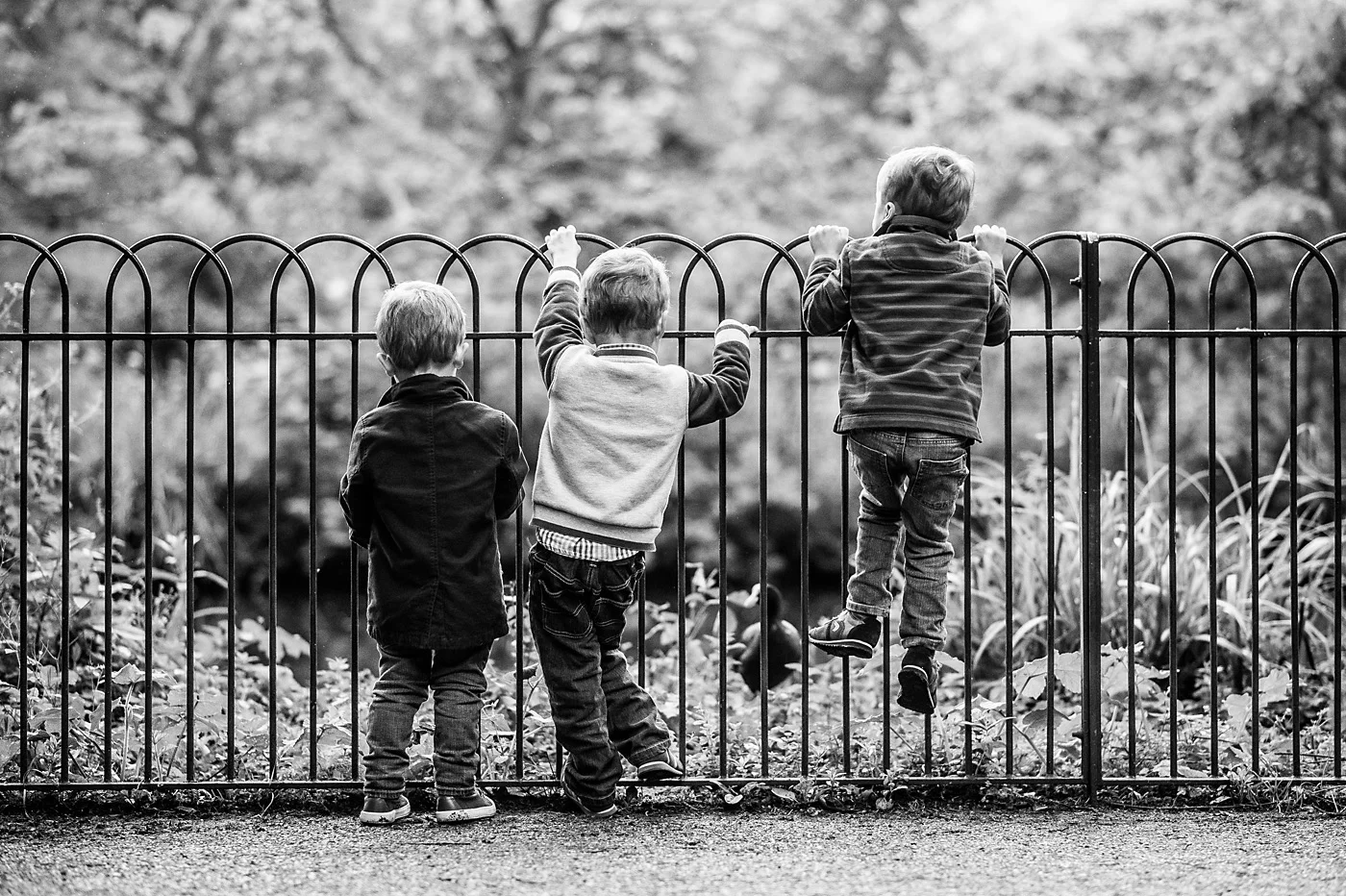 Family Outings — Edward Tyler Family