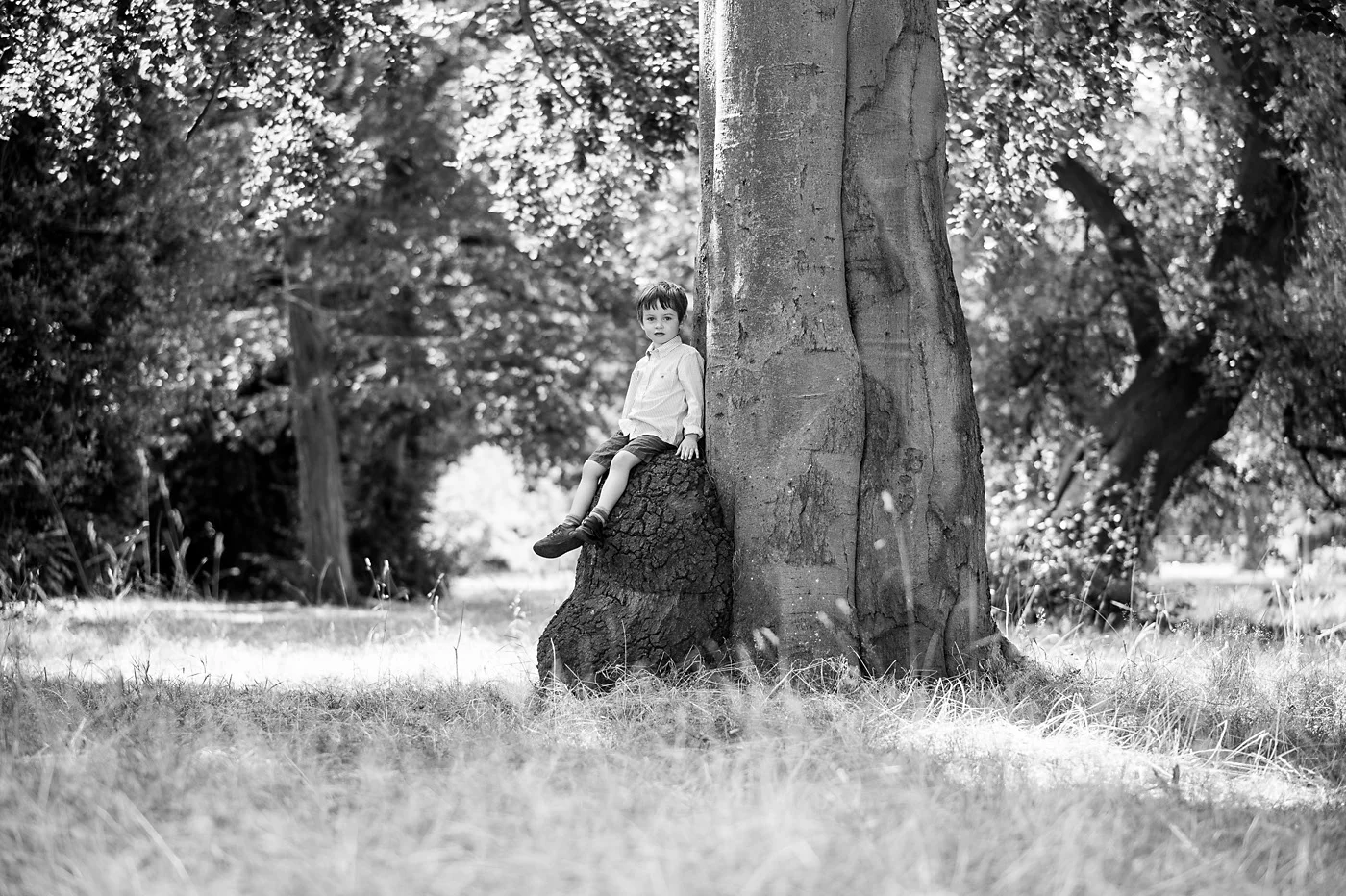 Children Portraits — Edward Tyler Family