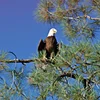 Privacy — Simple Ecology