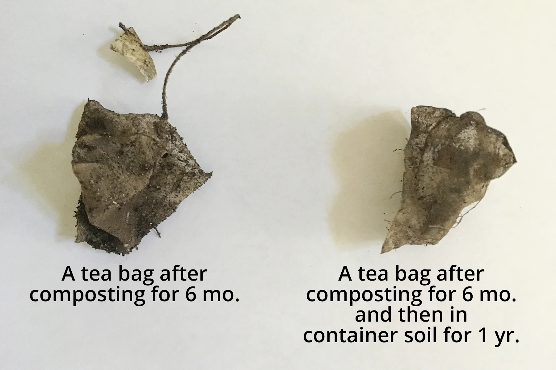 Brewing Tea with Zero Waste and NO Plastic! (Wait There's Plastic in ...