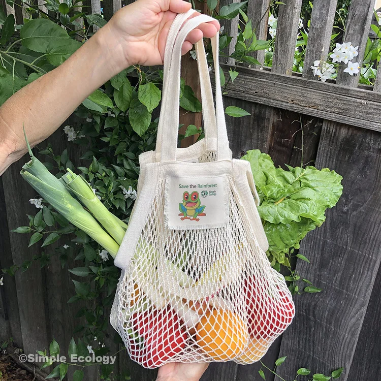 "Save the Rainforest" Tree Frog Gift & Starter Set — Simple Ecology