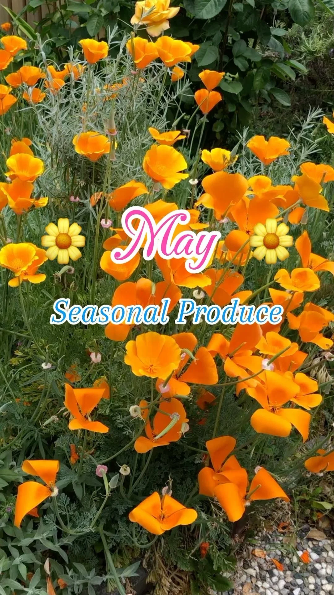 Simple Ecology - Reusable Bags & Eco-Friendly Goods