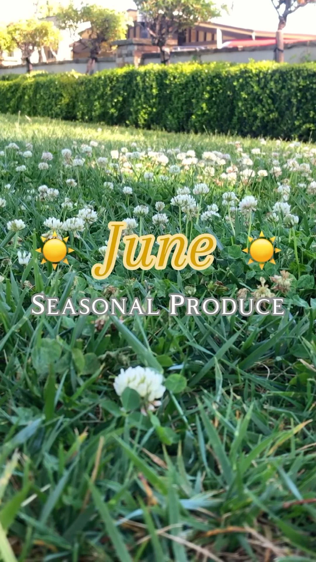 Simple Ecology - Reusable Bags & Eco-Friendly Goods