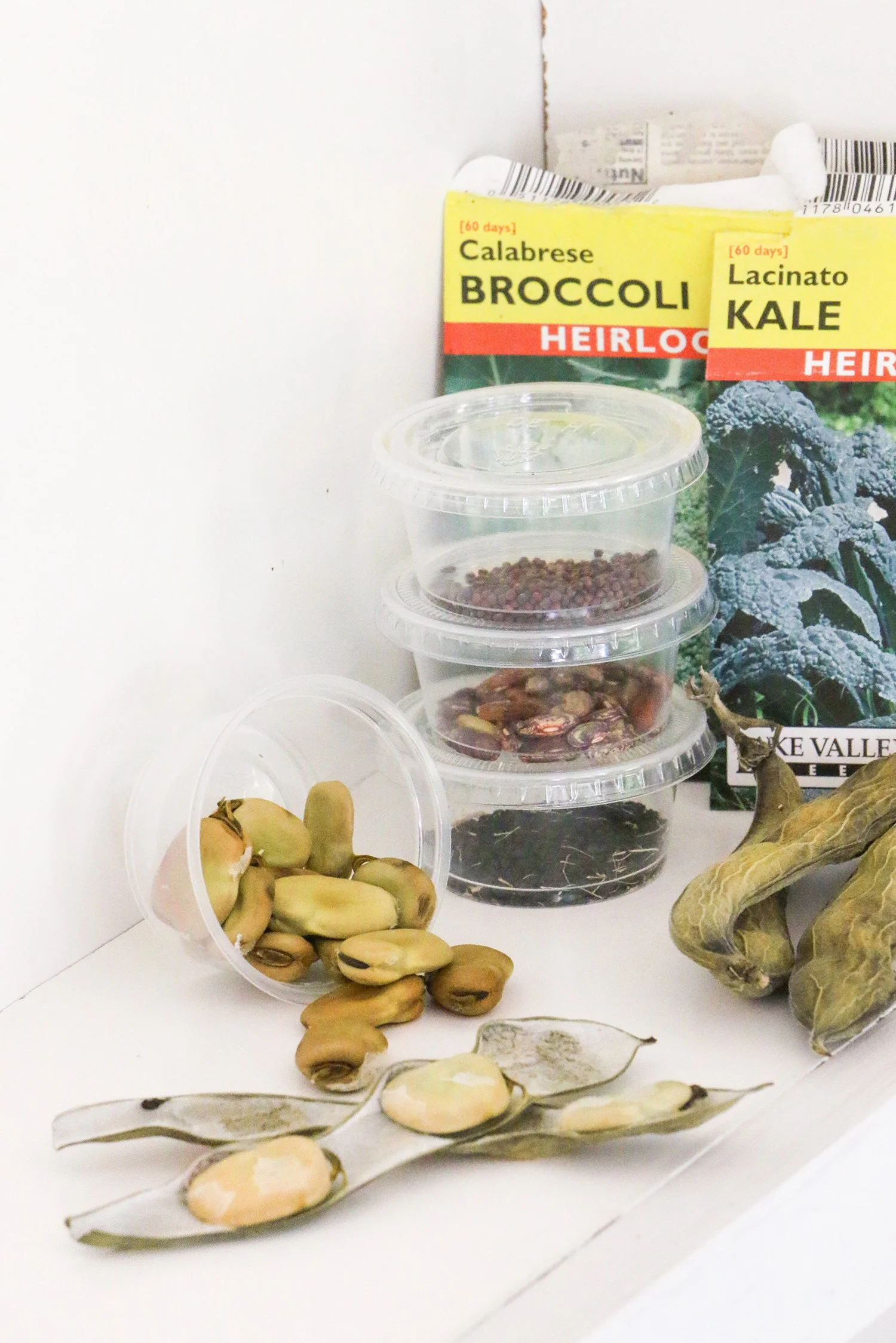 How to Repurpose Common Household Plastics — Simple Ecology