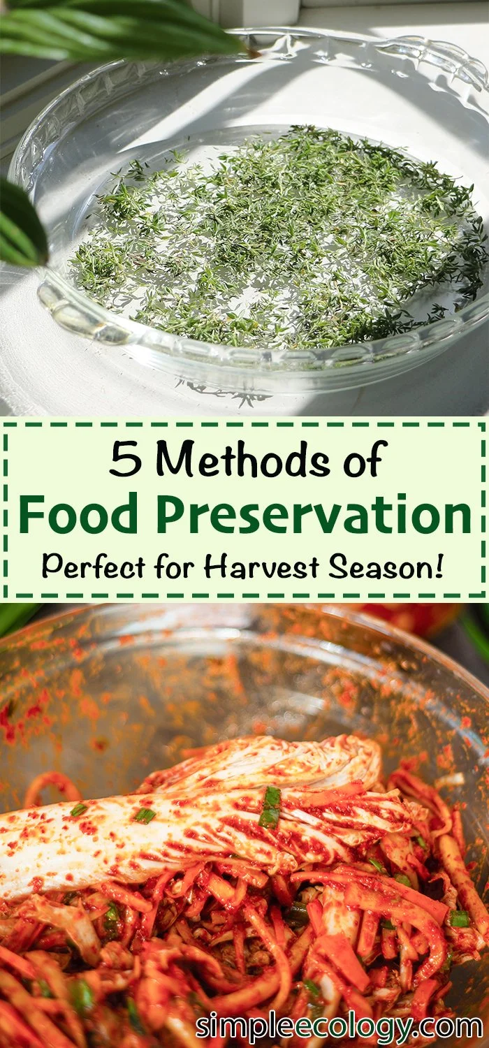 5 Preservation Methods for Harvest Season — Simple Ecology