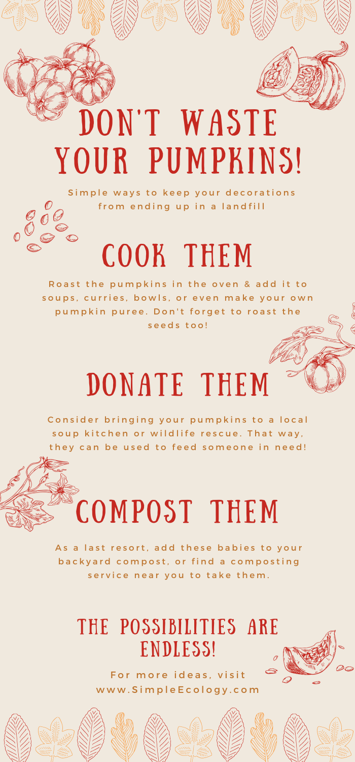 A Guide to Sustainable Fall Decorations — Simple Ecology