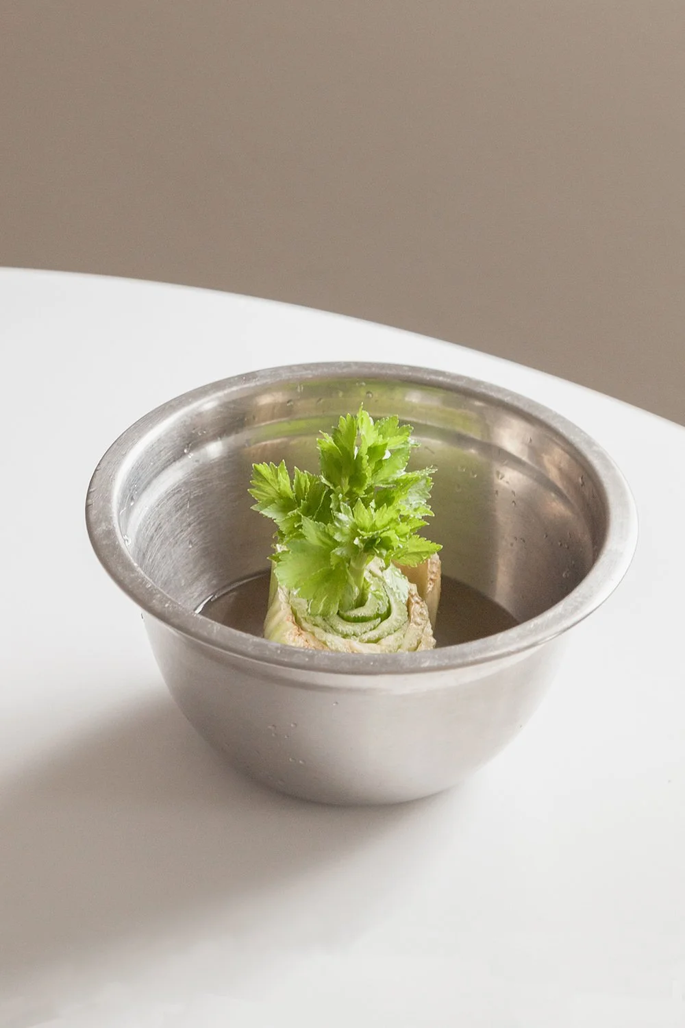 5 Ways to Repurpose Your Food Waste — Simple Ecology