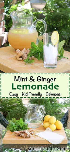 Mint Ginger Lemonade — Simple Ecology