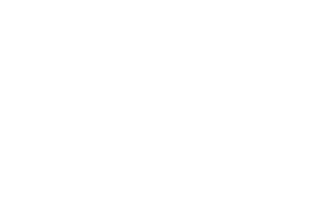 Jewel Charity Ball — Jewel Charity