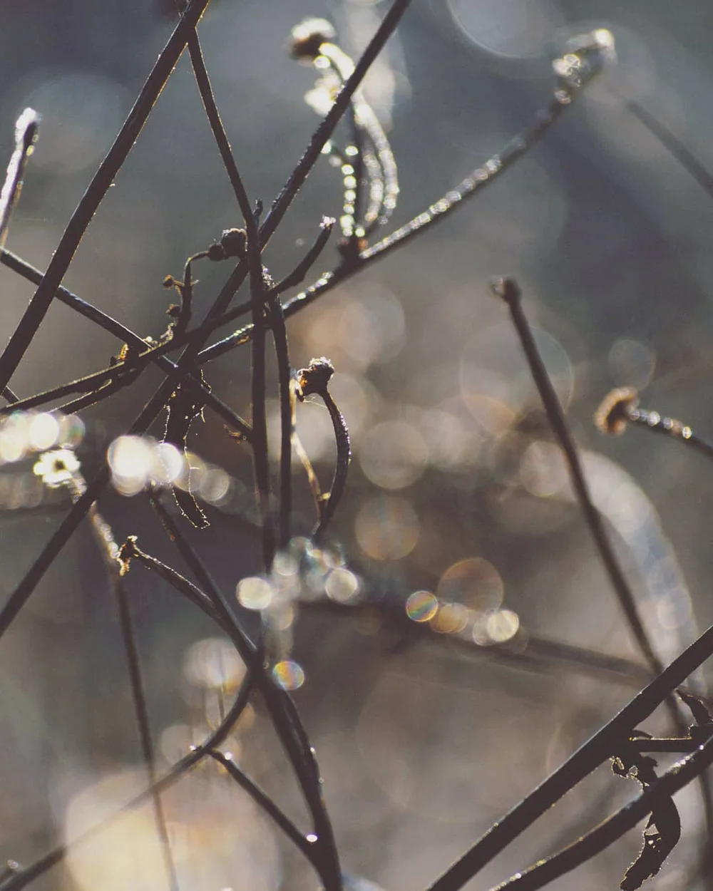 Stories of the Everyday - Winter Light | Sarah Mason Photography & Films