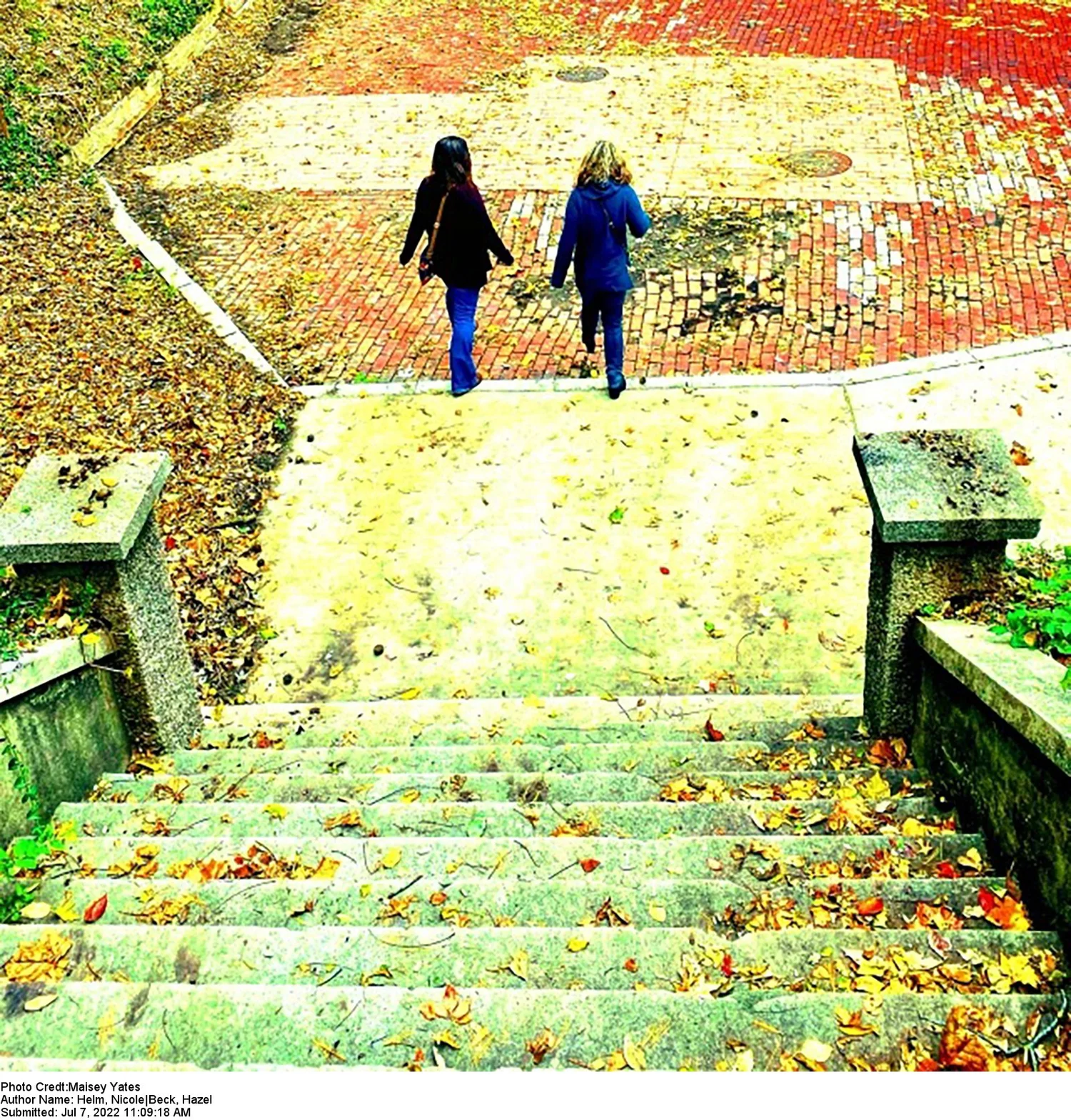 Spotlight: Big Little Spells by Hazel Beck — What Is That Book About