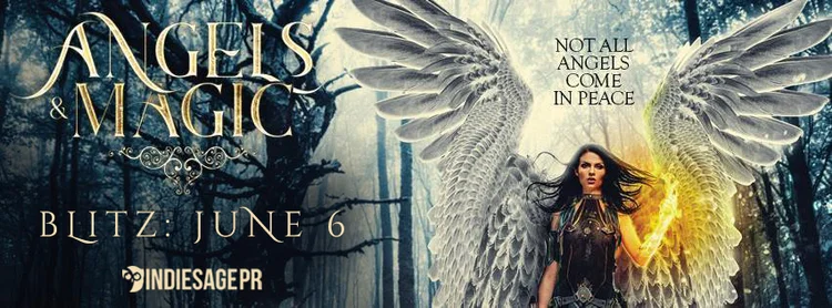 Spotlight: Angels & Magic: A Limited Edition Collection of Angel ...