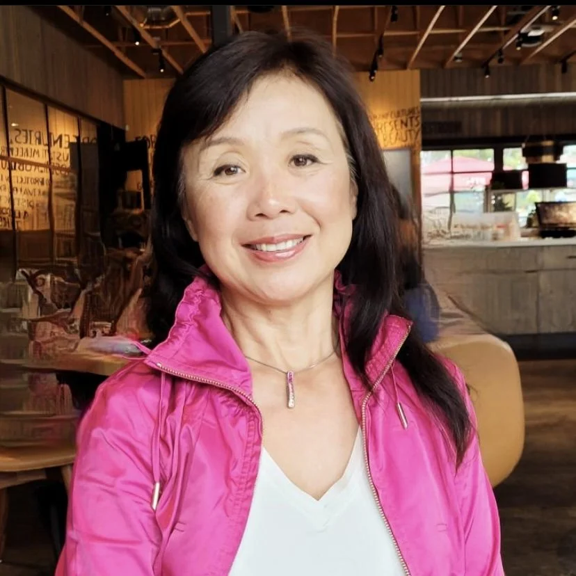 Spotlight: Wings of Silk by Li-Ying Lundquist — What Is That Book About