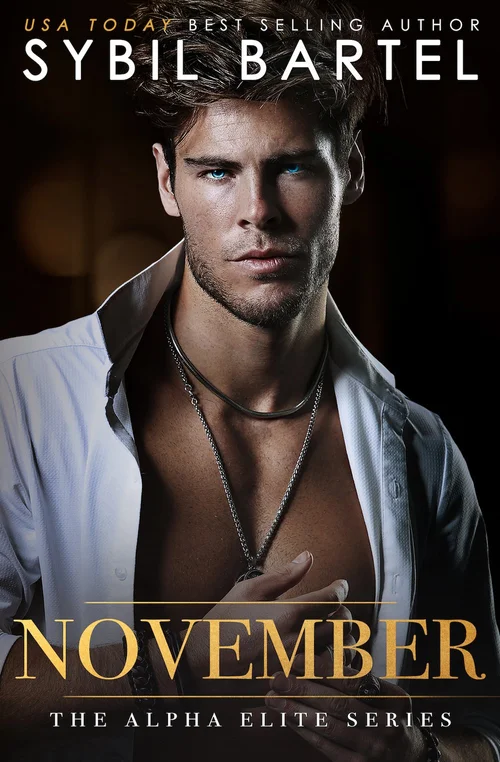 Cover Reveal: November by Sybil Bartel — What Is That Book About
