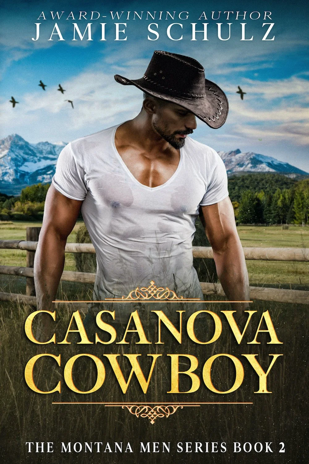 Spotlight: Casanova Cowboy by Jamie Schulz — What Is That Book About
