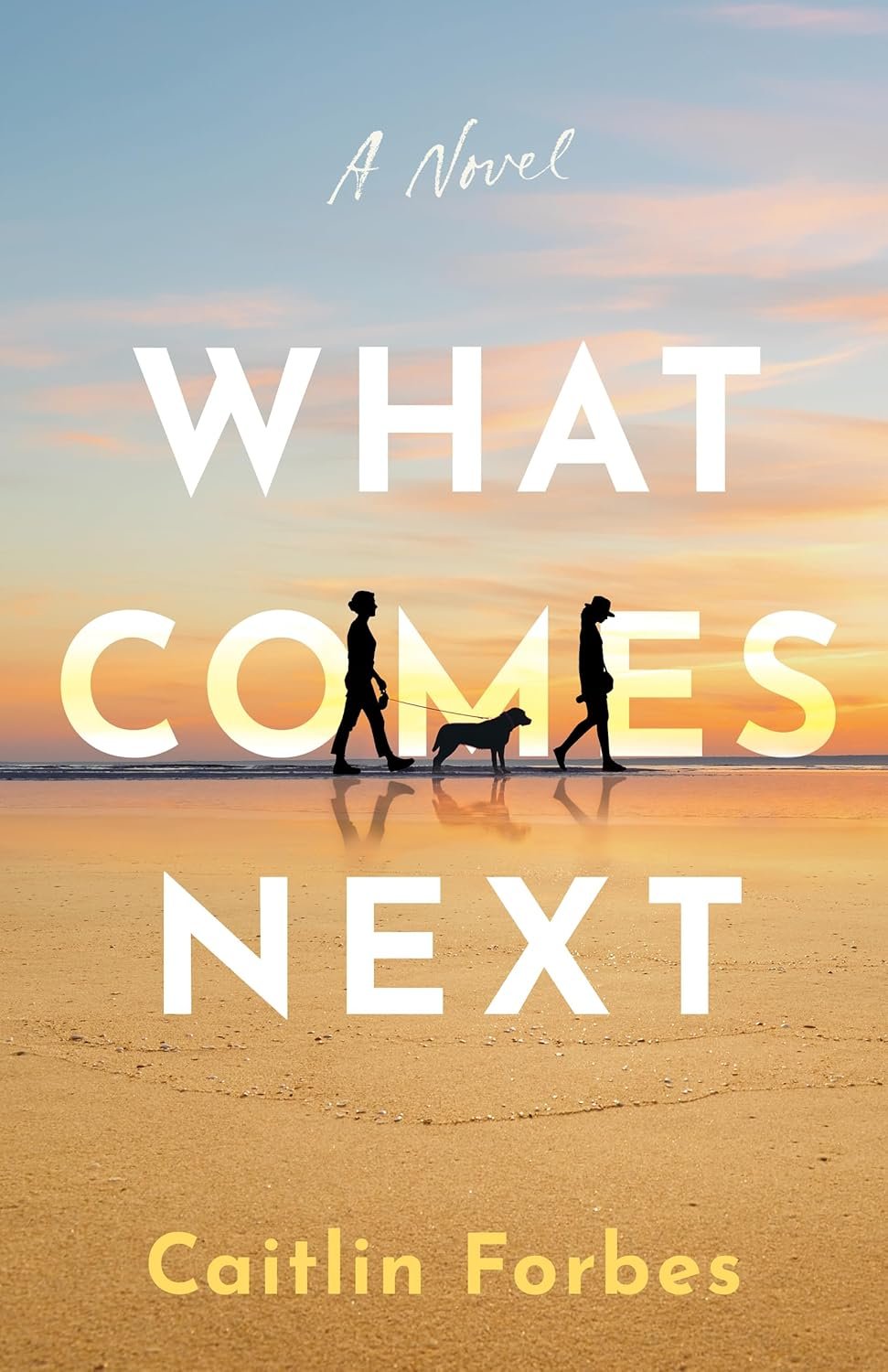 Spotlight: What Comes Next by Caitlin Forbes — What Is That Book About