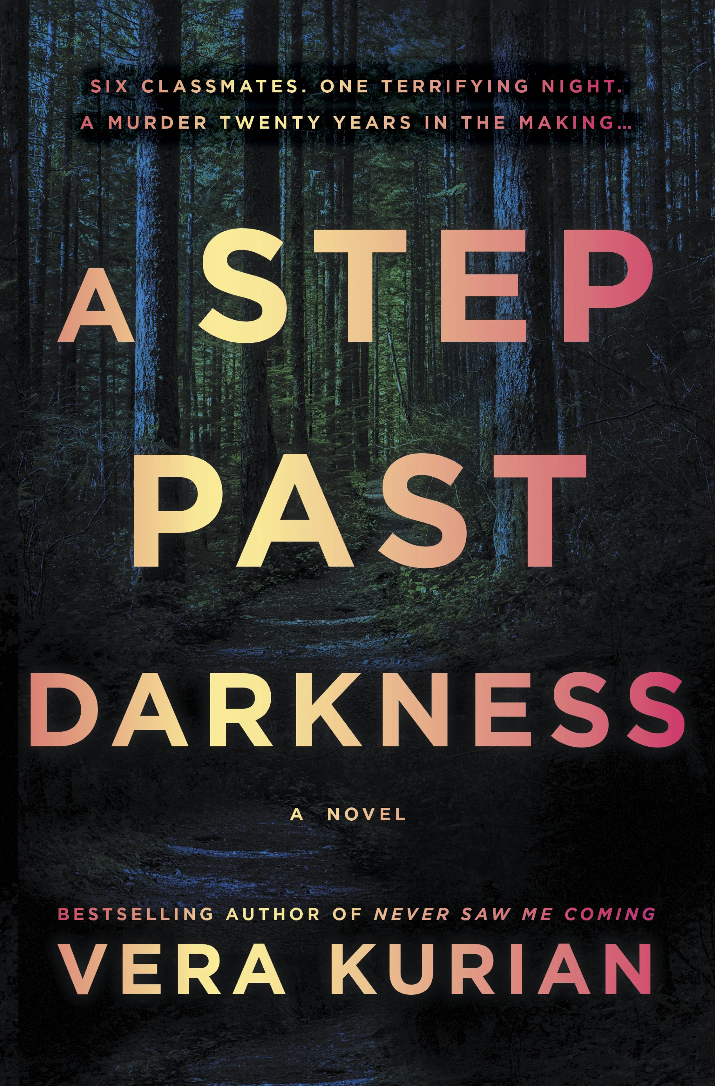 Spotlight: A Step Past Darkness by Vera Kurian — What Is That Book About