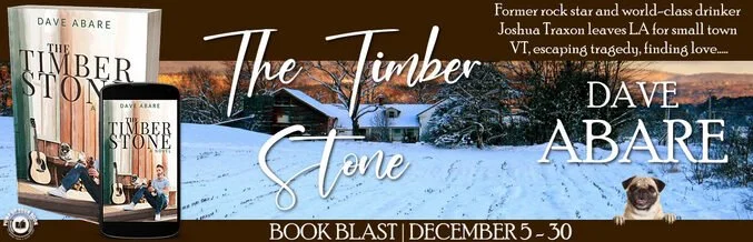Spotlight: The Timber Stone by Dave Abare — What Is That Book About